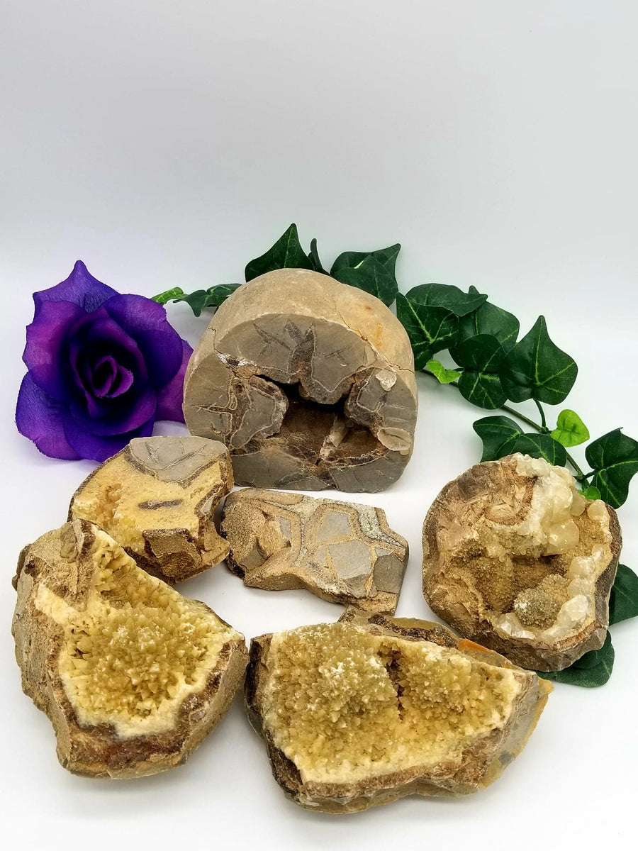 Septarian Nodule (Raw) – Enchanted Genie LLC